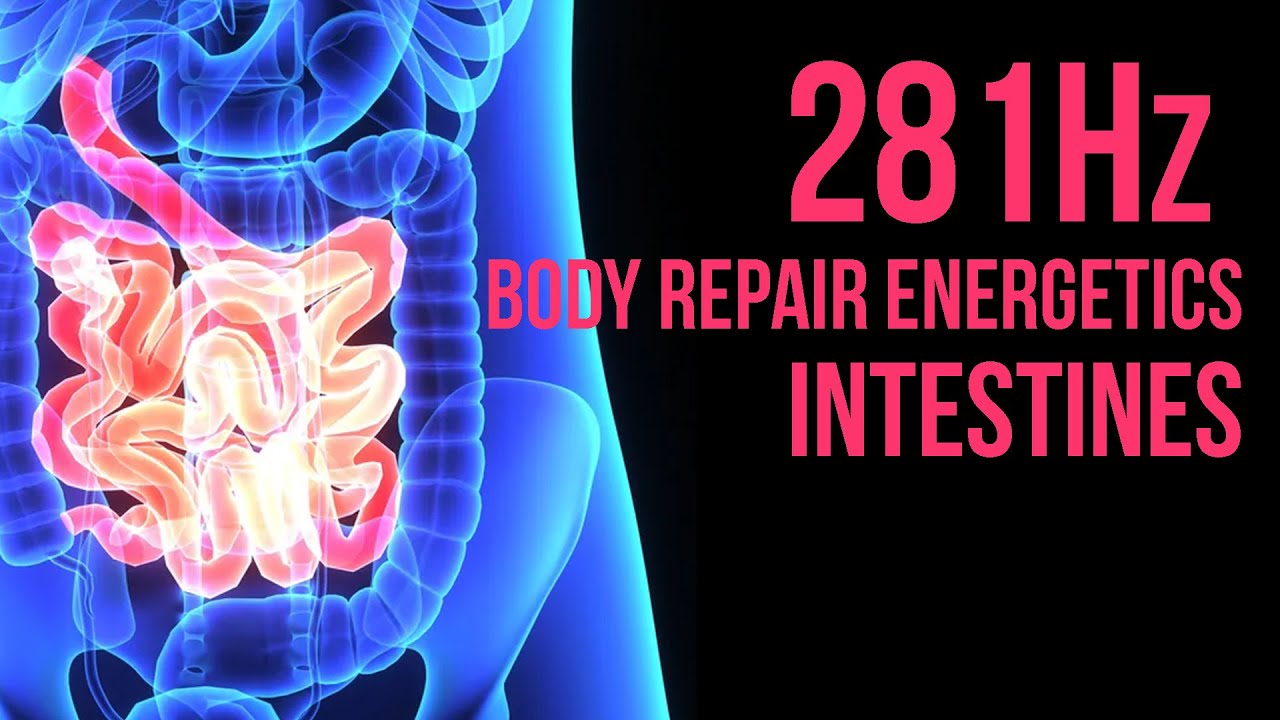 281Hz Body Repair | Intestines Energetics - YouTube