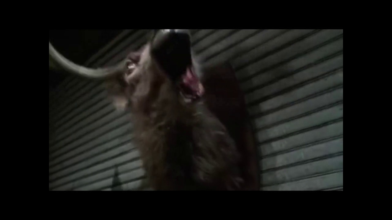 Jedi demon - YouTube