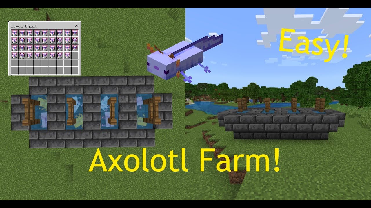 Easy 1.19.60 Axolotl Farm! Bedrock Edition and Java - YouTube