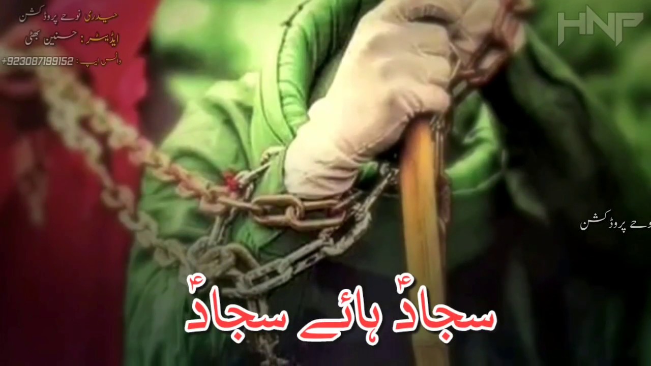 Shahadat Imam Sajjad (a.s) | Sajjad Haye Sajjad Noha | Nohay Whatsapp ...