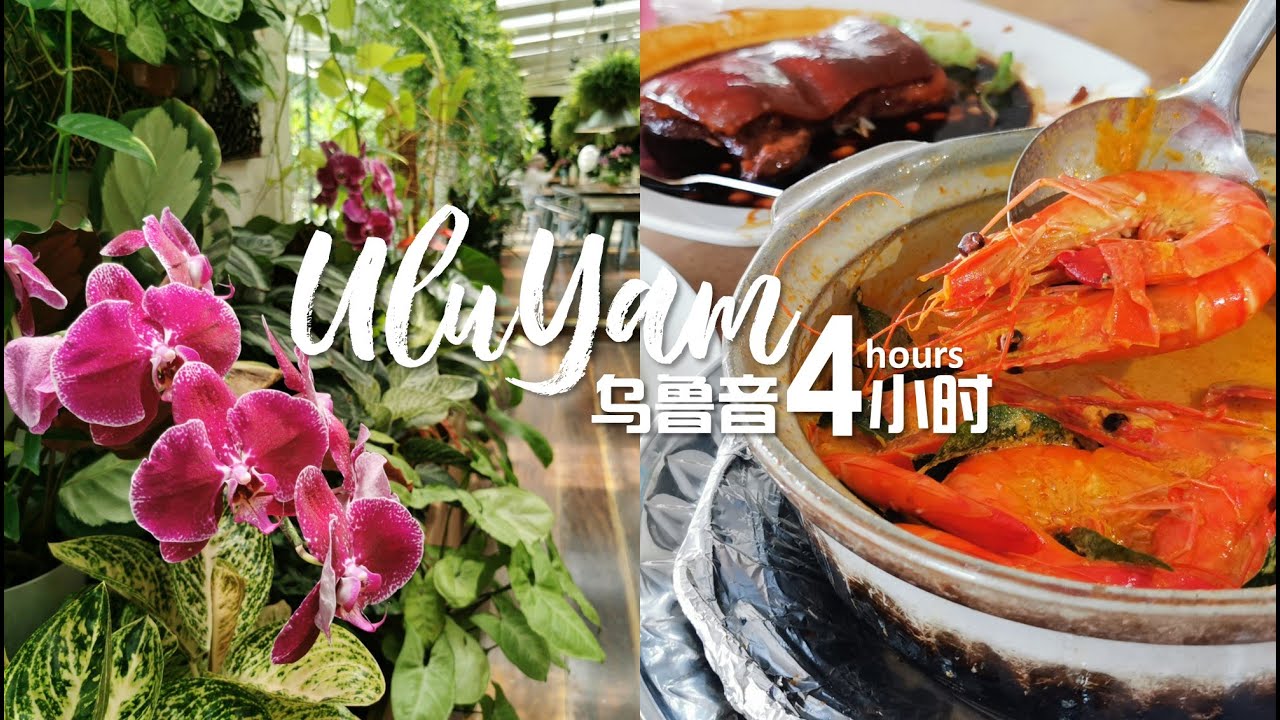 Ulu Yam | A 4 hours Food Trip | 乌鲁音美食 | World of Phalaenopsis - YouTube