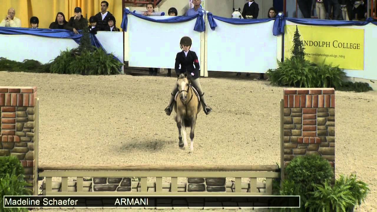 371 ARMANI Madeline Schaefer, Class 4 Small Pony Hunter - YouTube