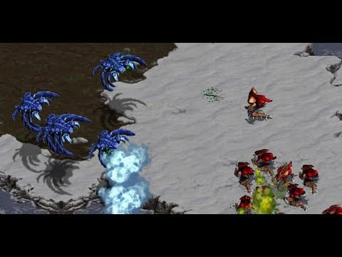 DAY 79 FUSS! Mini! Rush! Sn0w! Sacsri! herO! Sharp! Bacon! Phantom ...