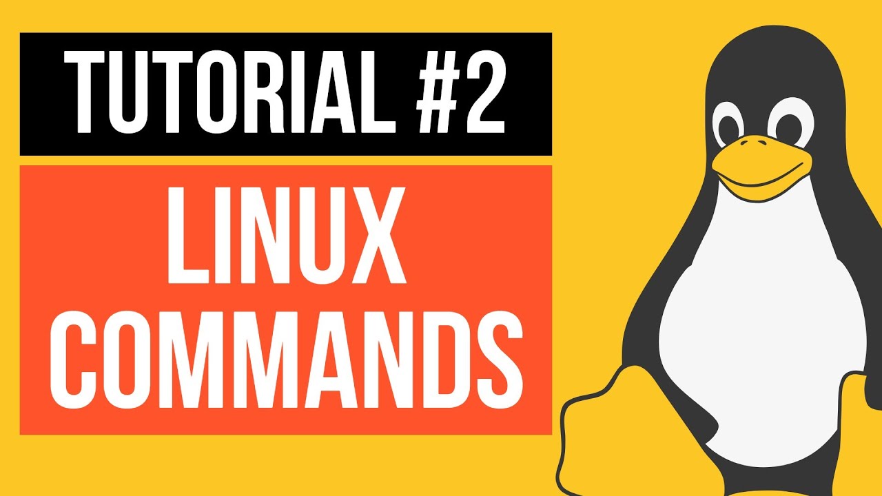Trying Basic Linux Commands Complete Beginners Linux Tutorial Youtube 4070