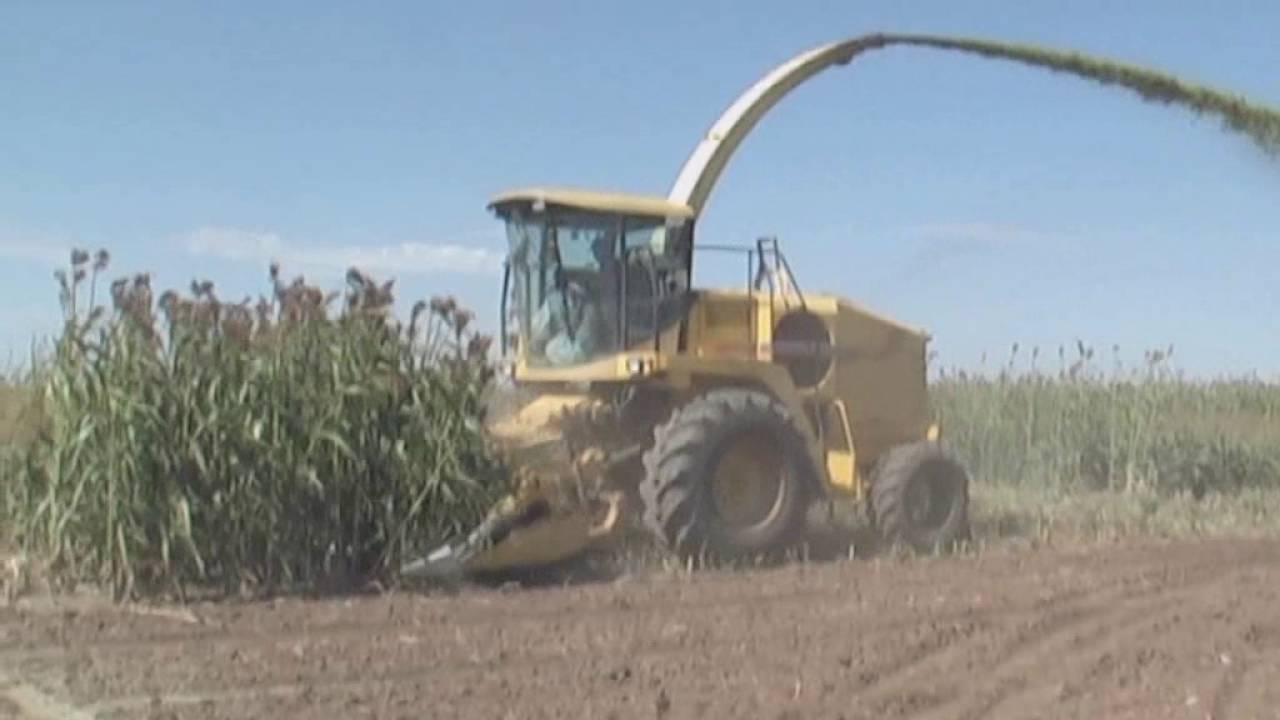 Shell Gamechanger video with Mike Golombok - YouTube