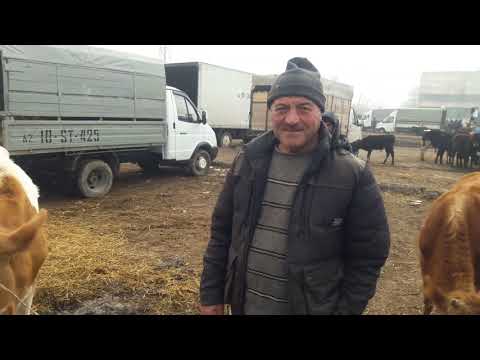 Salyan heyvan bazarı..25.12.19..1 hissə..ardı var..