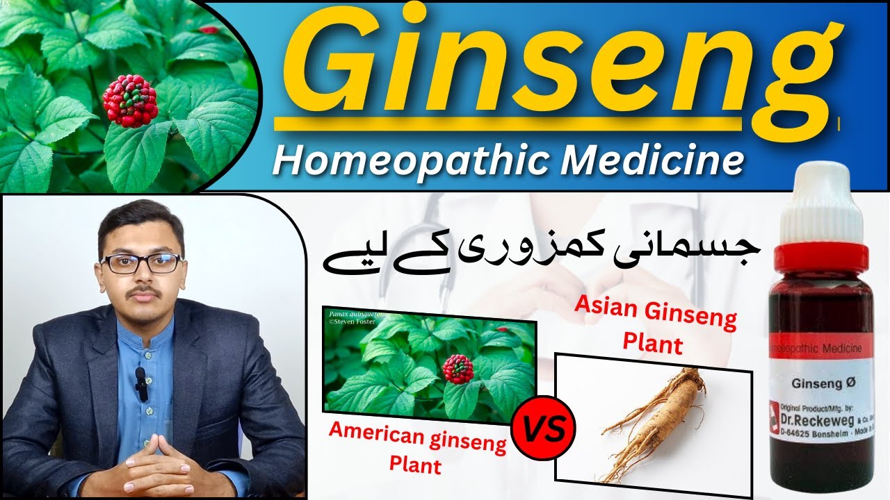 Ginseng Homeopathic Medicine Benefits || Ginseng q Homeopathy ...