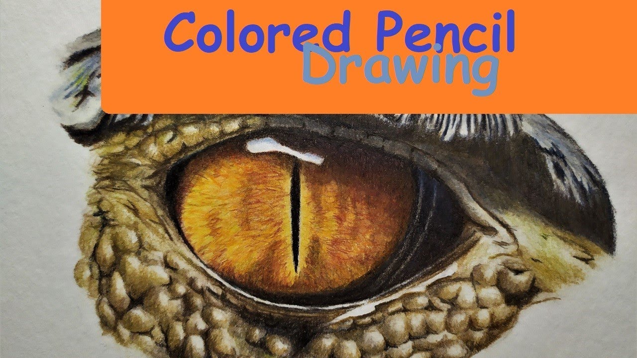 Alligator Eye Study Drawing / Colored Pencil / Time-Lapse - YouTube