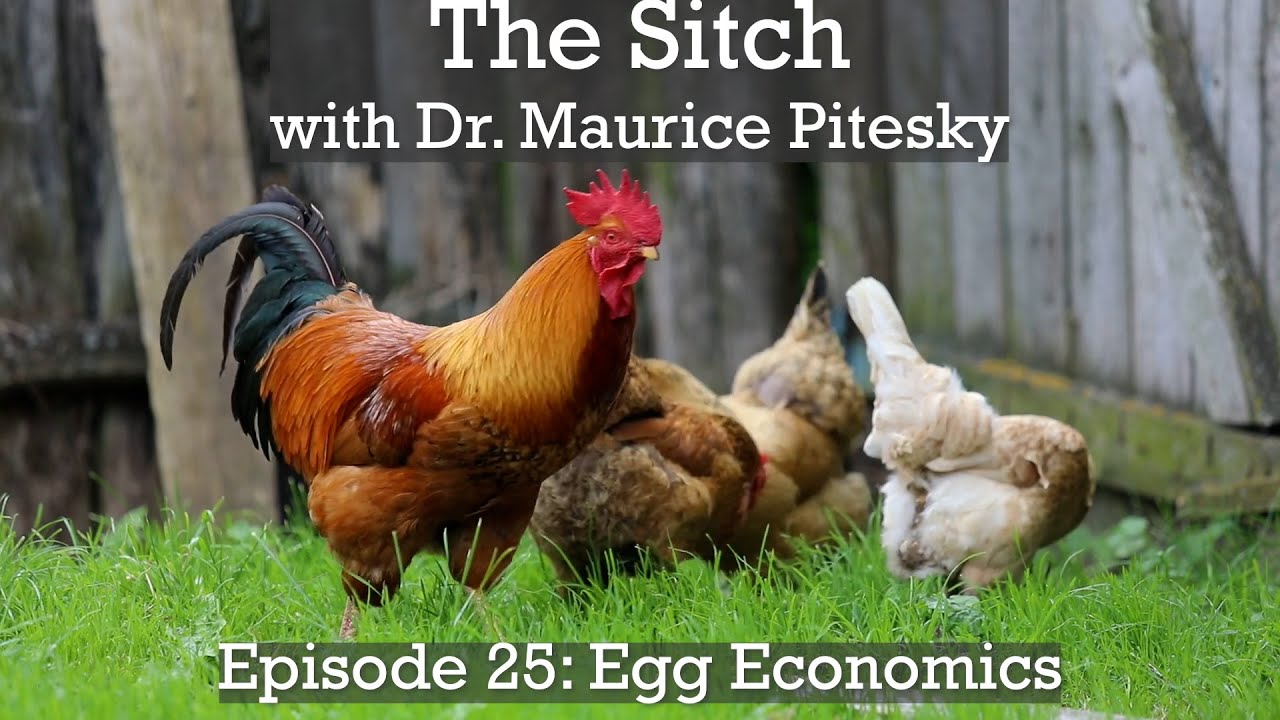 The Sitch: Episode 25 - Egg Economics - YouTube