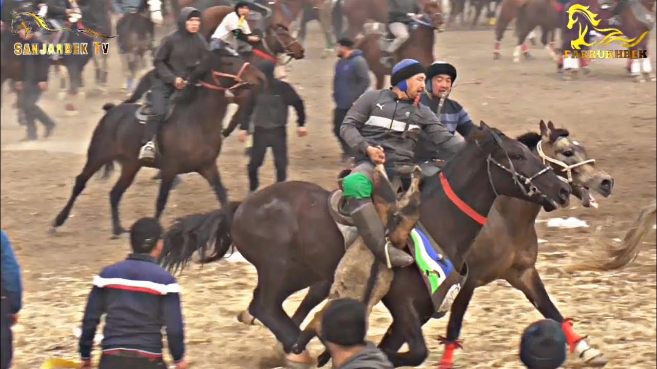 DILMUROD POLVON #uloq_kokpari #kopkari #kopkari_2024 #uloq - YouTube