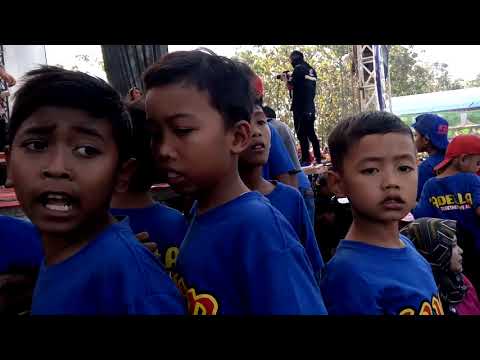 Adella kojer jerukgulung