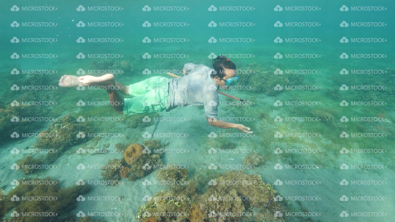 Underwater shot of the fish hunter with spear gun in the ocean. - YouTube