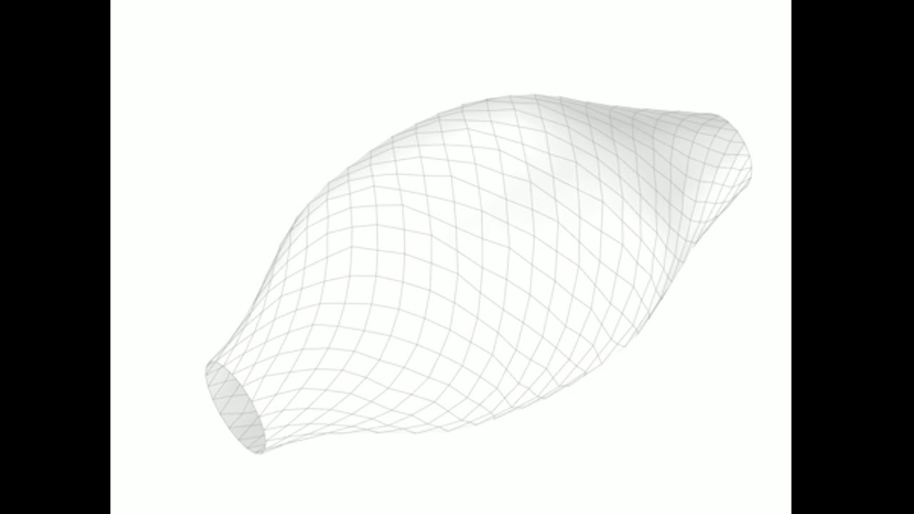 Pod Movement (Kangaroo) - YouTube