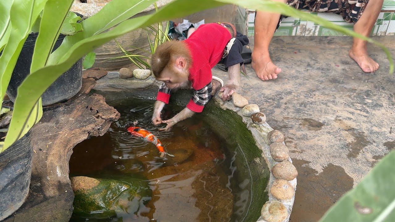 Princess Zim looks funny trying to catch fish at Aunt Loan's house ...