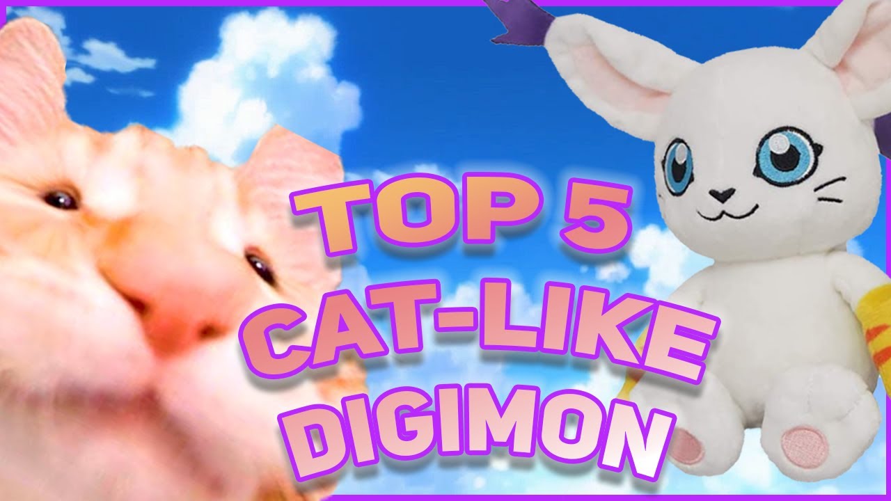 TOP 5 CAT-LIKE DIGIMON - YouTube