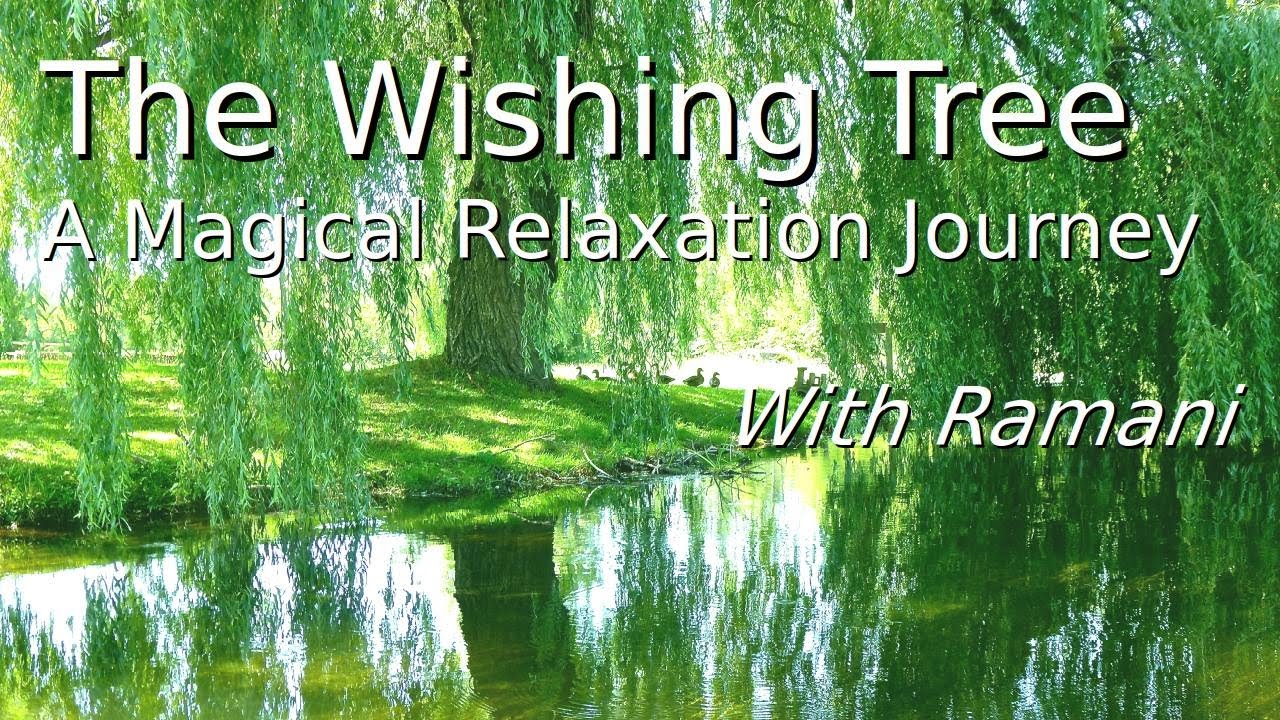 The Wishing Tree: A magical relaxation journey for children - YouTube