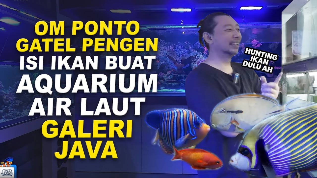 HUNTING IKAN AIR LAUT BUAT GALERI JAVA REEF - YouTube