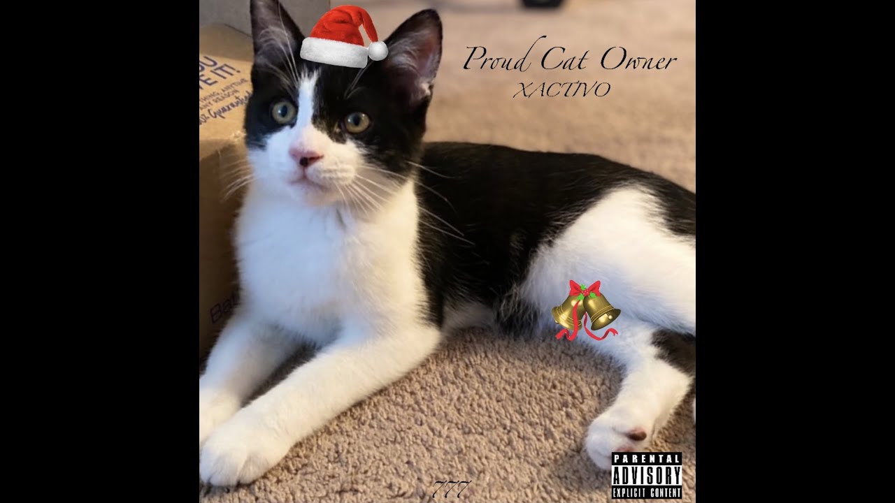 Proud Cat Owner - YouTube