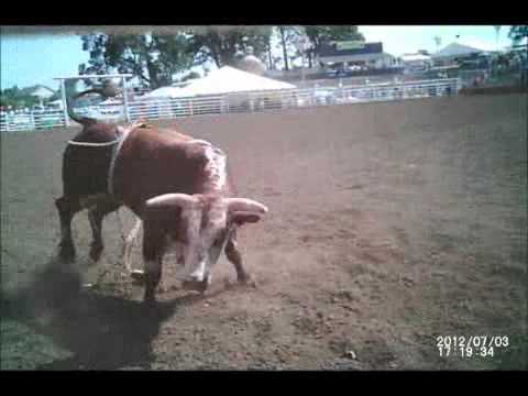 Rowdy Barry's view at Molalla Buckeroo - YouTube