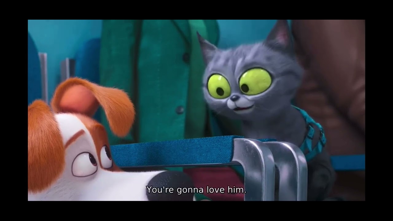 Going to the vet secret life of pets - YouTube
