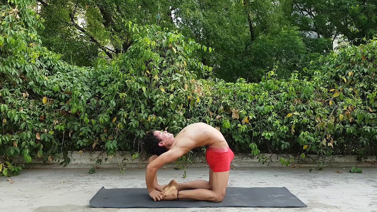How To Do Full Camel/ Diamond Pose With MASTER VIPIN RANA - YouTube