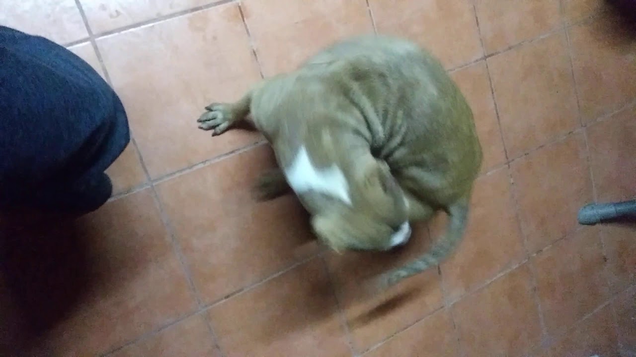 Ooooooooooooooooof - YouTube