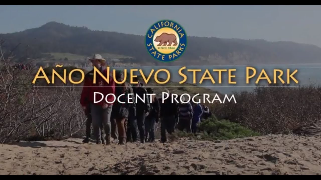 Ano Nuevo State Park - Docent Program - YouTube