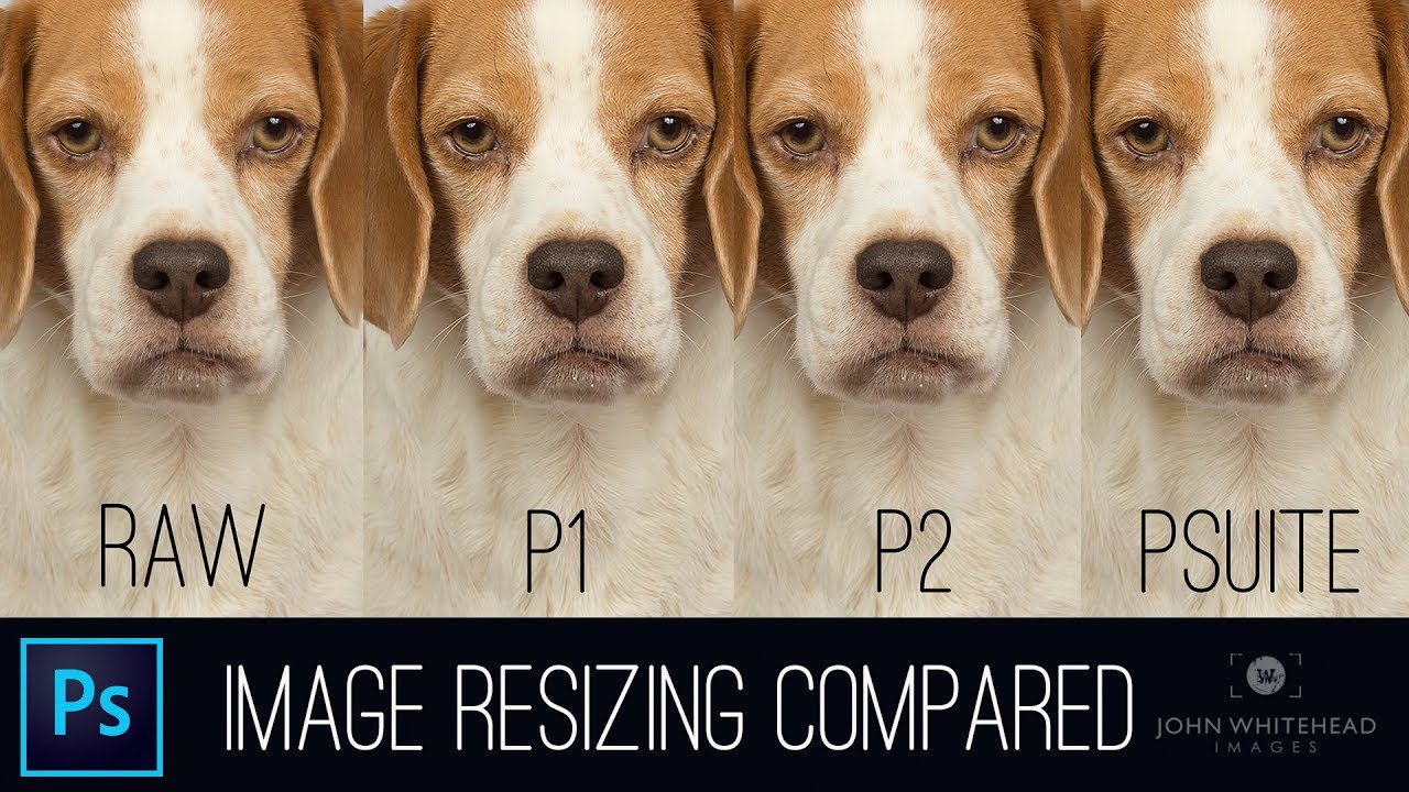 How To Enlarge A Photograph With Photoshop And Resize YouTube how-to-enlarge-a-photograph-with-photoshop-and-resize-youtube