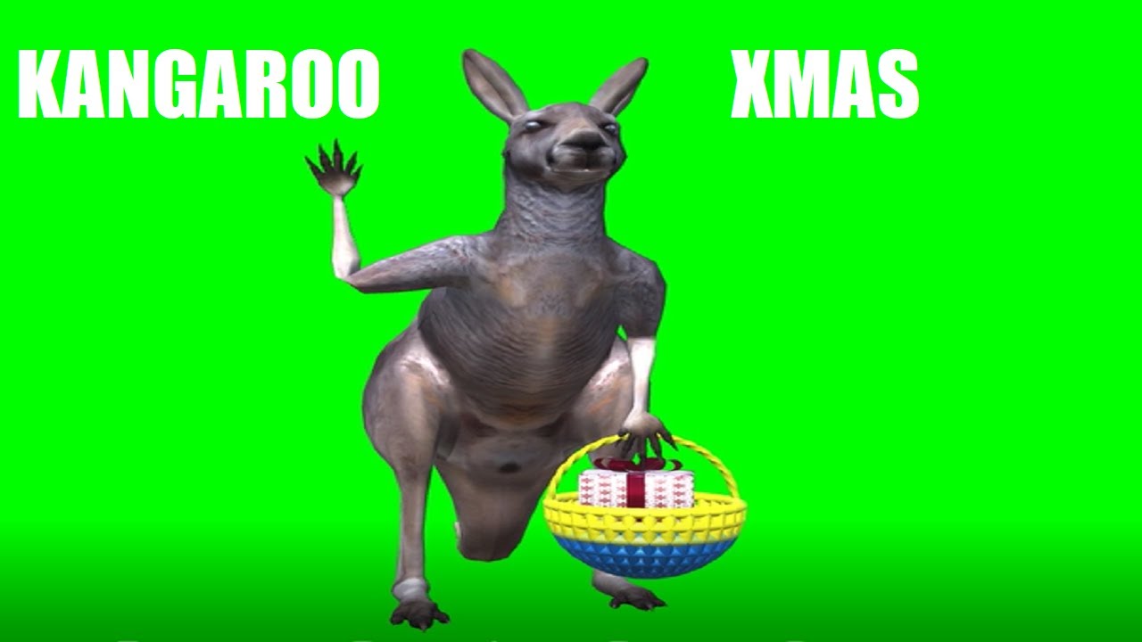 Animated Kangaroo Xmas Present Greeting Green Screen - YouTube