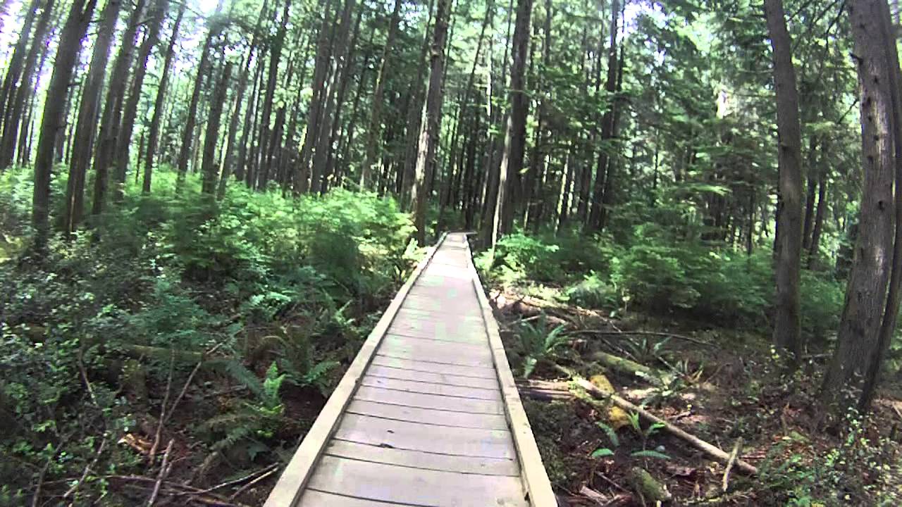 Incredible Boardwalk in Grand Ridge County Park, Washington - YouTube