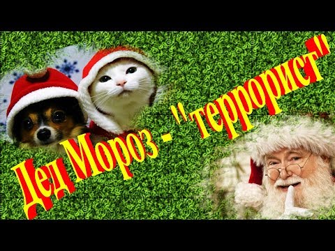 Новогодний мультфильм. Дед Мороз - \