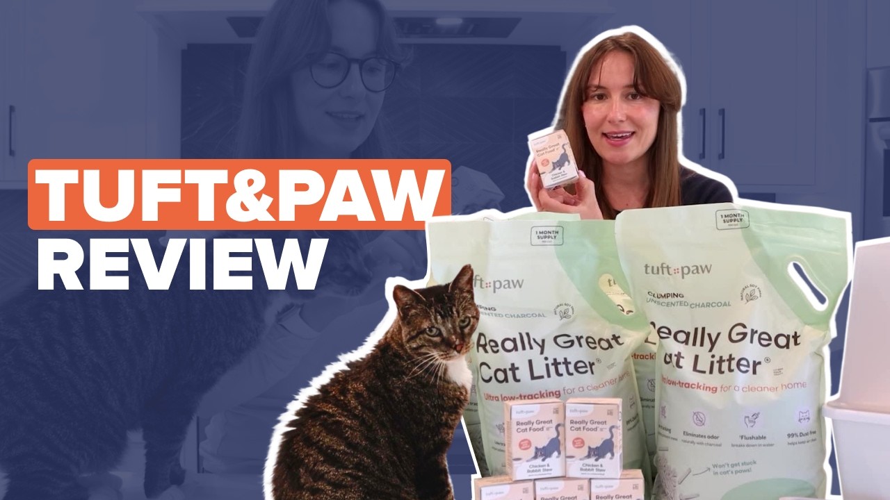 Tuft & Paw Review (We Tried It All!) - YouTube