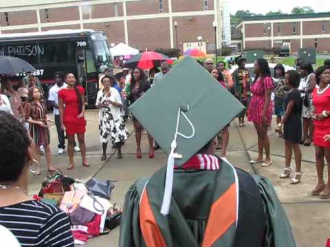FAMU GRADUATION 2013: BETA ALPHA {DELTA SIGMA THETA} - YouTube