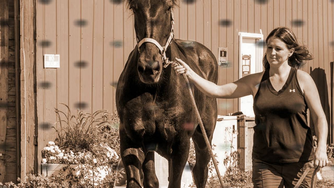 The Devoted Barn: A Place of Courage, Hope, Strength and Love - YouTube