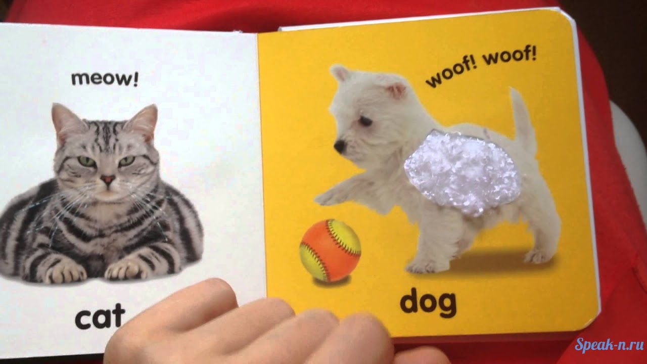 First Words Touch and Feel - YouTube