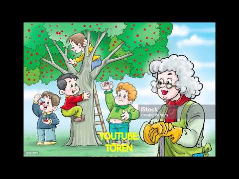 9. SINIF DİNLEME SINAVI-KİRAZLAR-REŞAT NURİ GÜNTEKİN