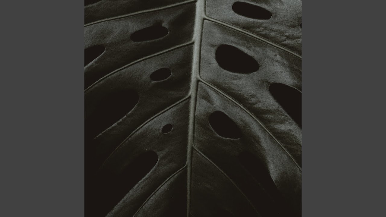 Us Comfort Zone Irl F - YouTube