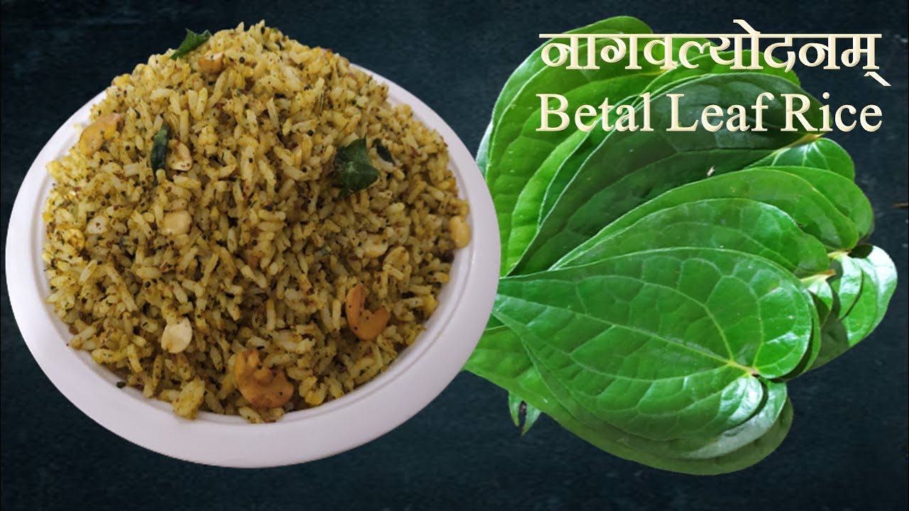 (संस्कृतम्)नागवल्योदनम् / Betal Leaf Rice Recipe in Sanskrit / Easy ...
