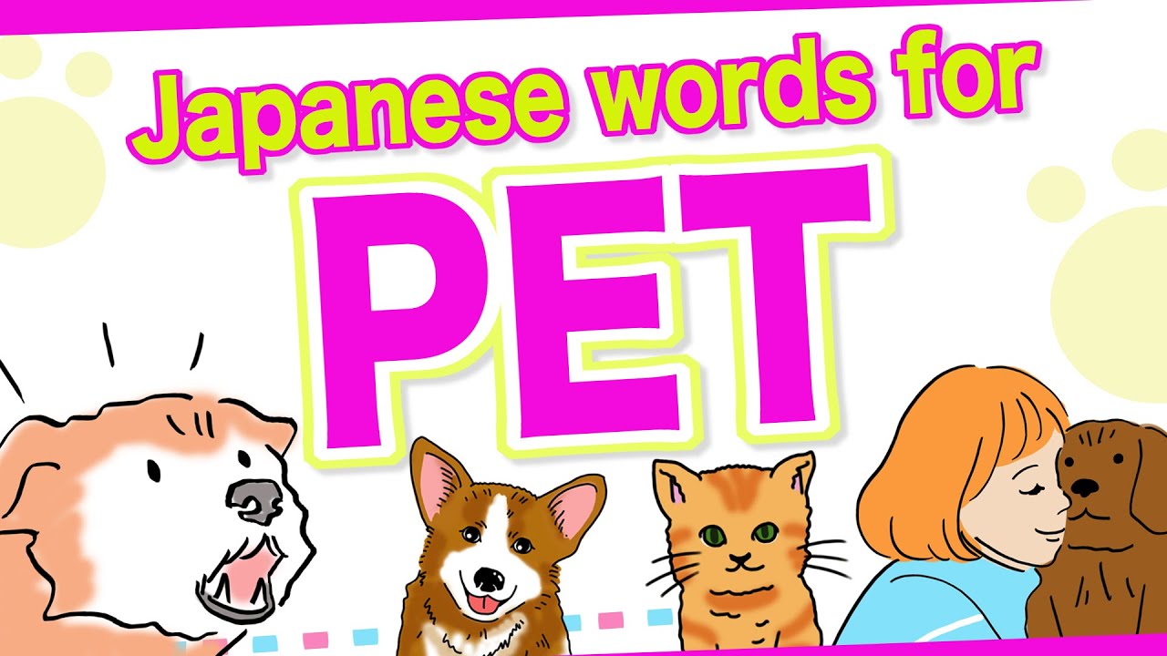 Top 20 Japanese words for PET🇯🇵Dog, Kennel, Collar, Rabbit, Cat ...