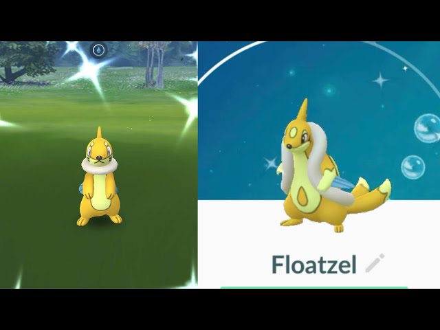 Pokemon Floatzel Evolution