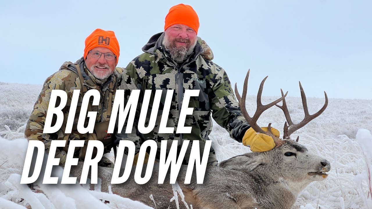 South Dakota's Snowy Mule Deer Hunt (FREEZING COLD) - YouTube