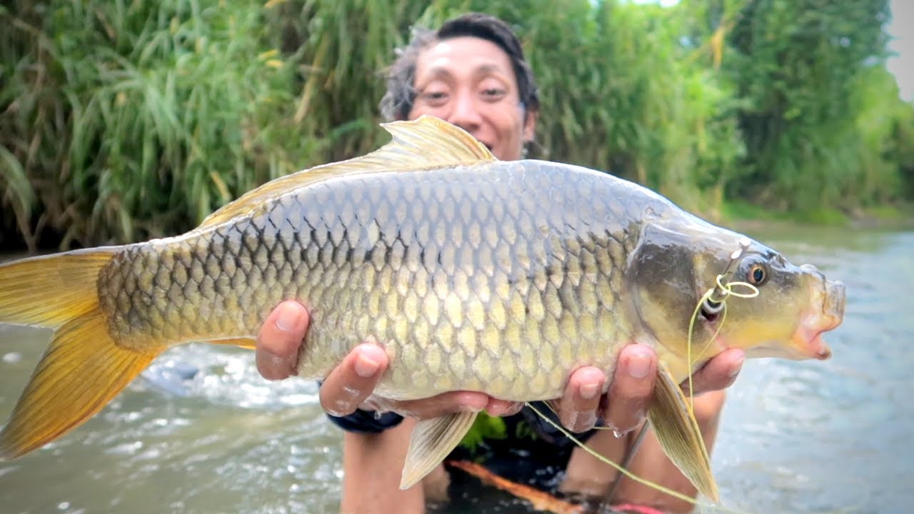 BERTAHAN HIDUP: TANGKAP IKAN PAKE BUSUR PANAH - MEMASAK IKAN RAKSASA ...