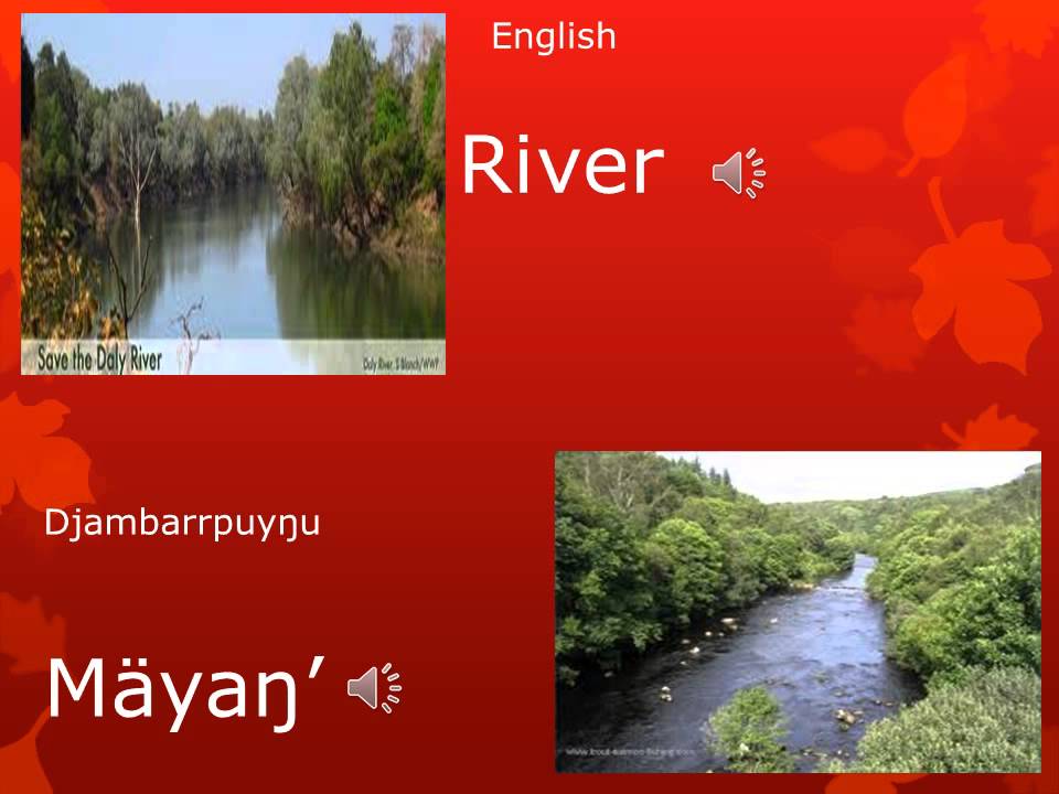 words in Yolngu Matha - YouTube