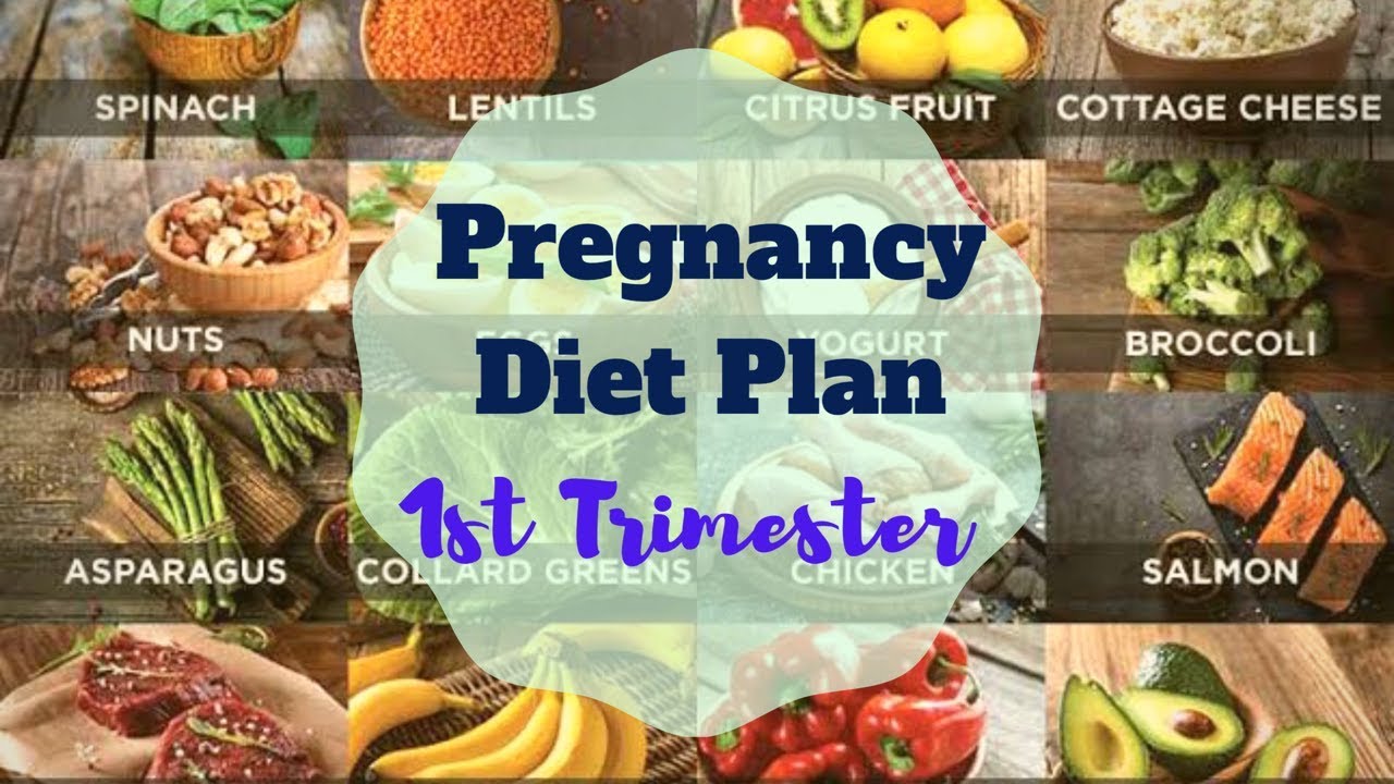 Pregnancy Diet Plan | 1st Trimester | My Pregnancy Journal - YouTube