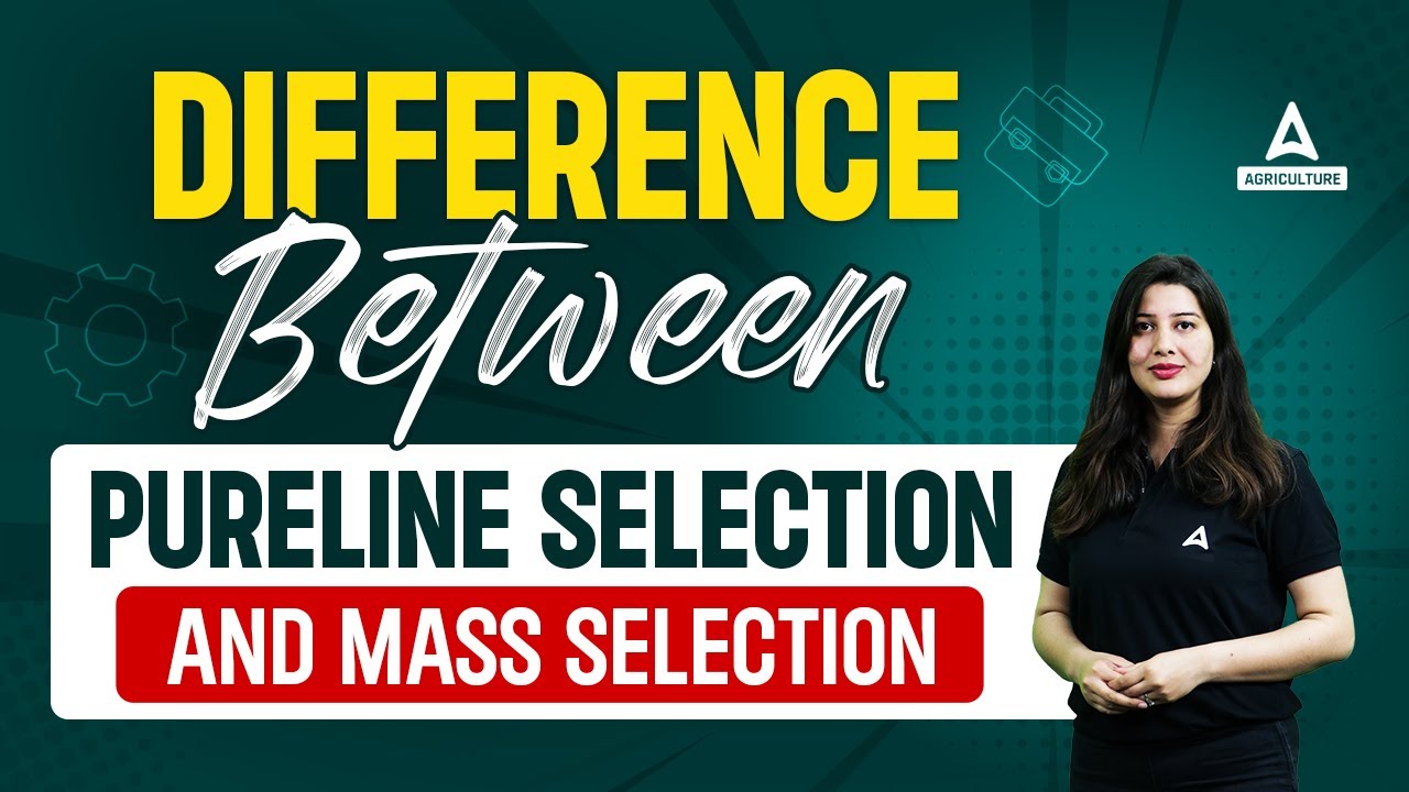 Difference between Pureline Selection and Mass Selection | By Pratibha ...