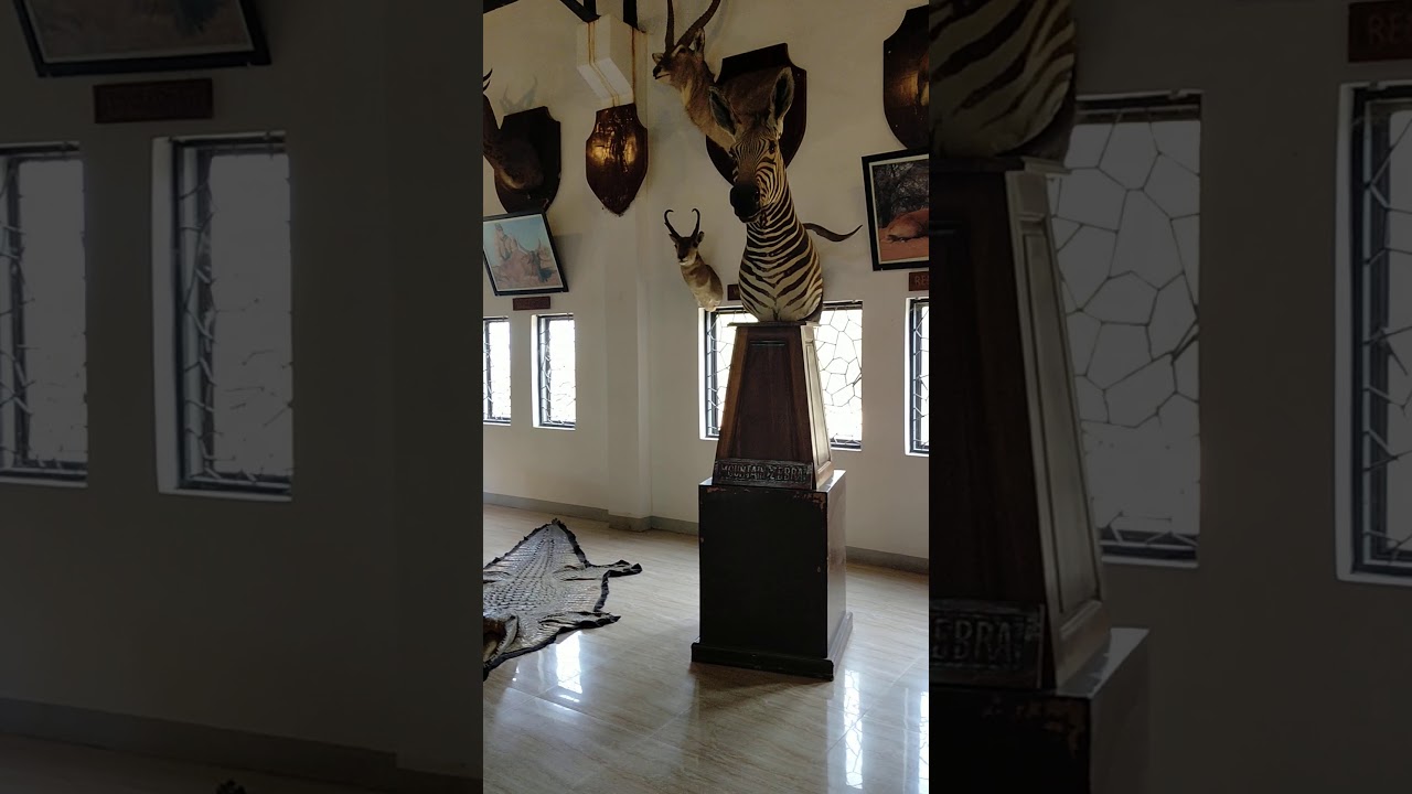 SAFARI MUSEUM only @BALUARTE VIGAN CITY ILOCOS SUR TO - YouTube