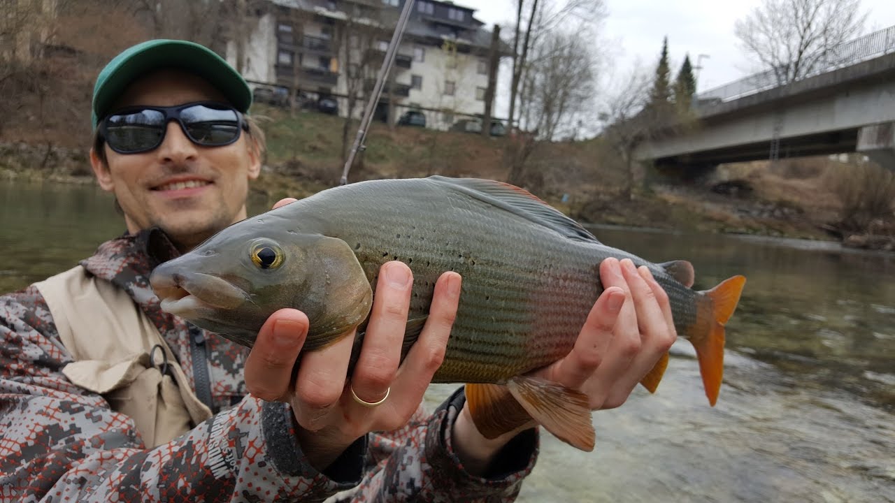 Fly Fishing in Bled Region - Fish&Dirt Season Start '17 - YouTube