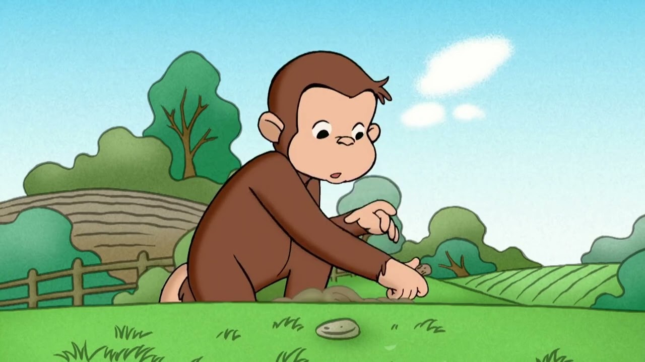 Ciekawski George | George poznaje różne rasy psów | Bajki Po Polsku ...