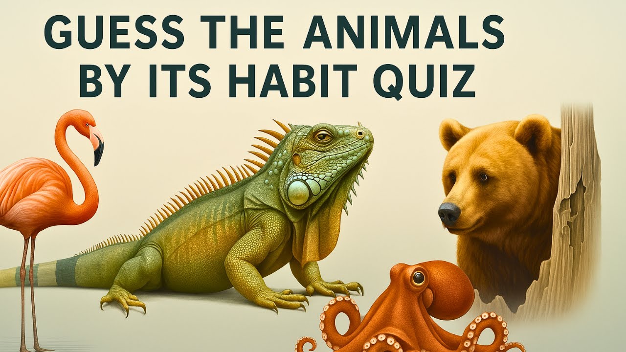 Unleash Your Inner Wildlife Expert!! The ULTIMATE Animal Quiz: Habits ...