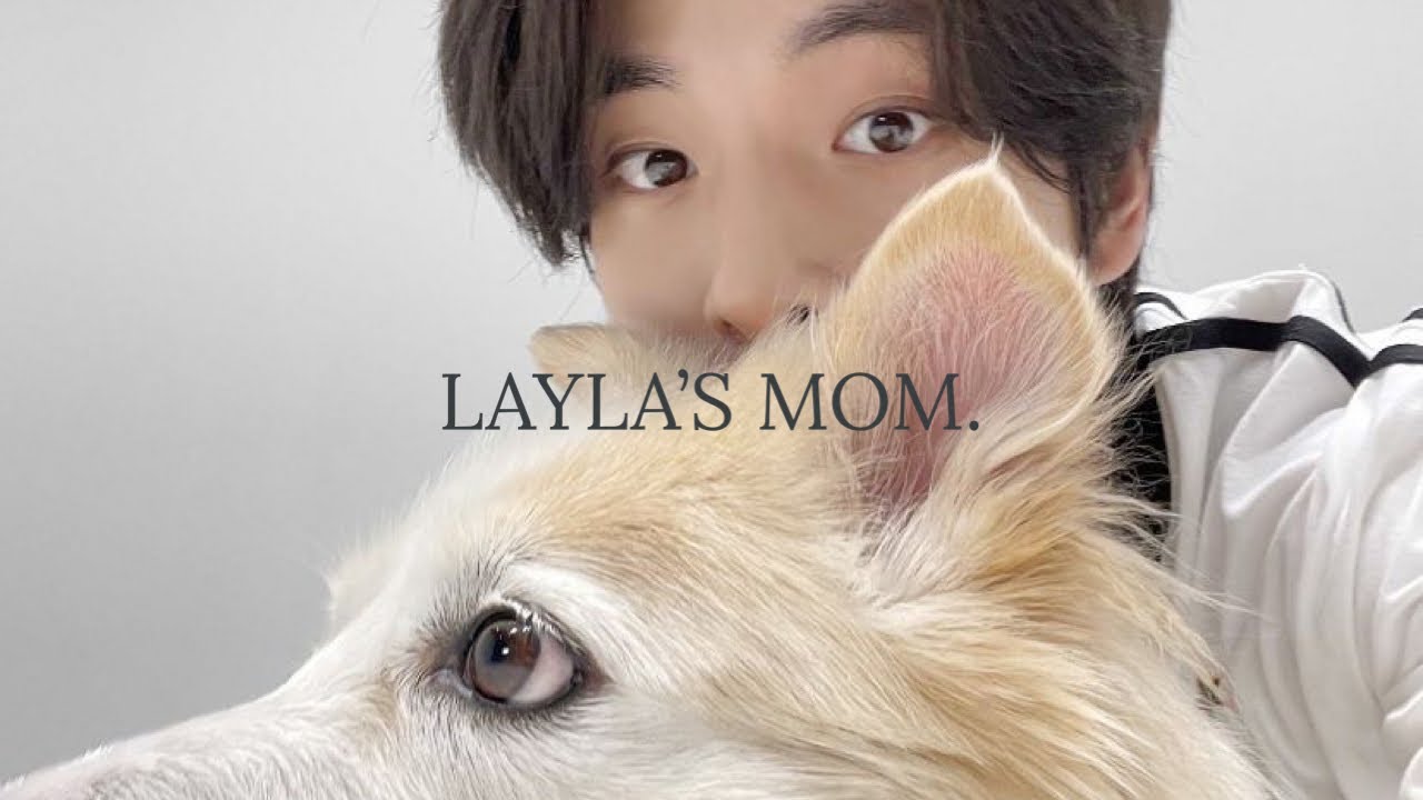 [ one shot ☆.。] 라일라의 엄마 Laylas Mom. - YouTube